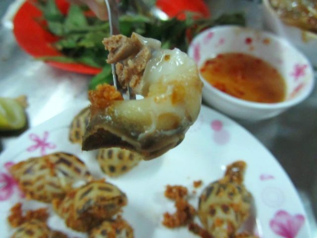 Snails & Shellfish: A Guide – Vietnam Coracle – Independent Travel ...
