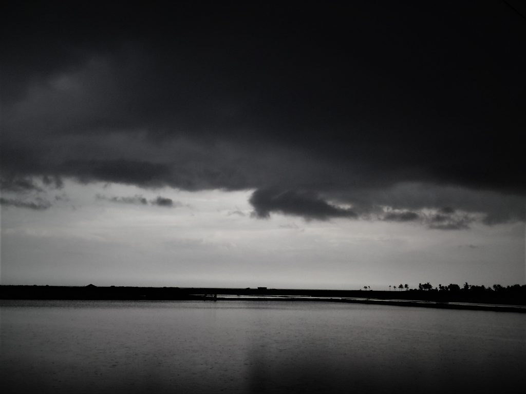 First Rains: An Ode to the Monsoon – Vietnam Coracle – Independent ...
