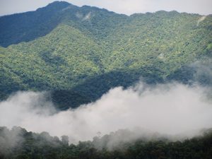 The Golden Loop | Motorbike Guide – Vietnam Coracle – Independent ...