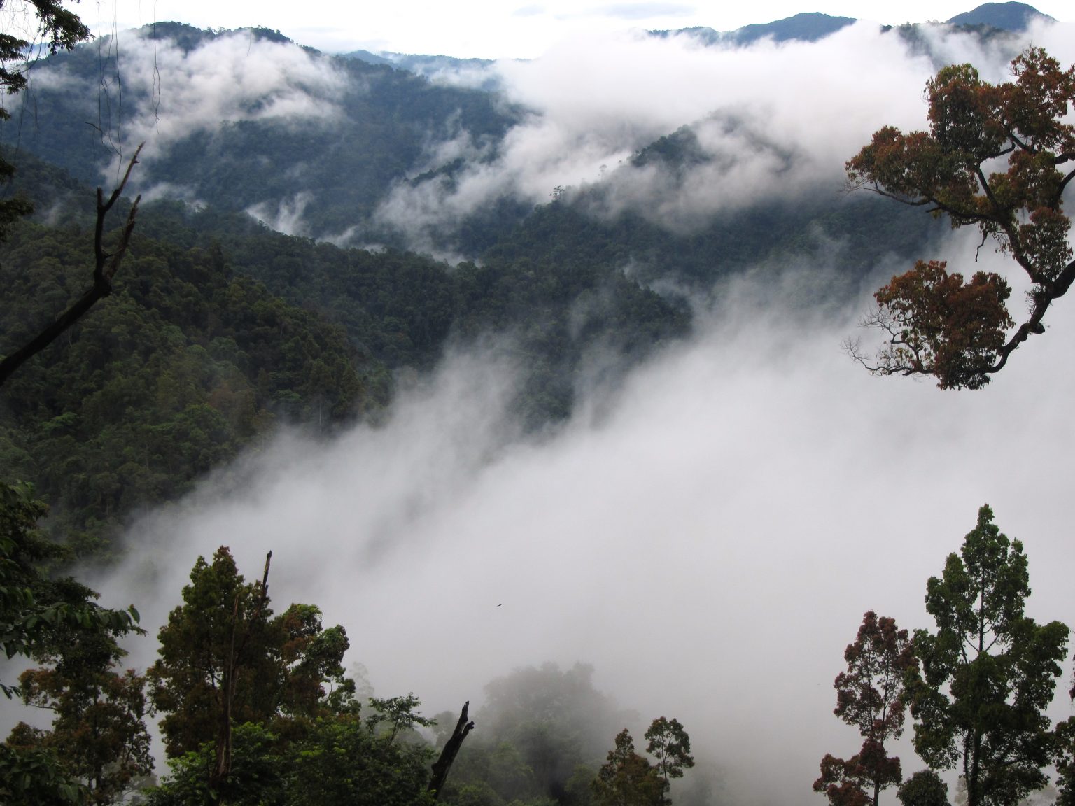 The Golden Loop | Motorbike Guide – Vietnam Coracle – Independent ...