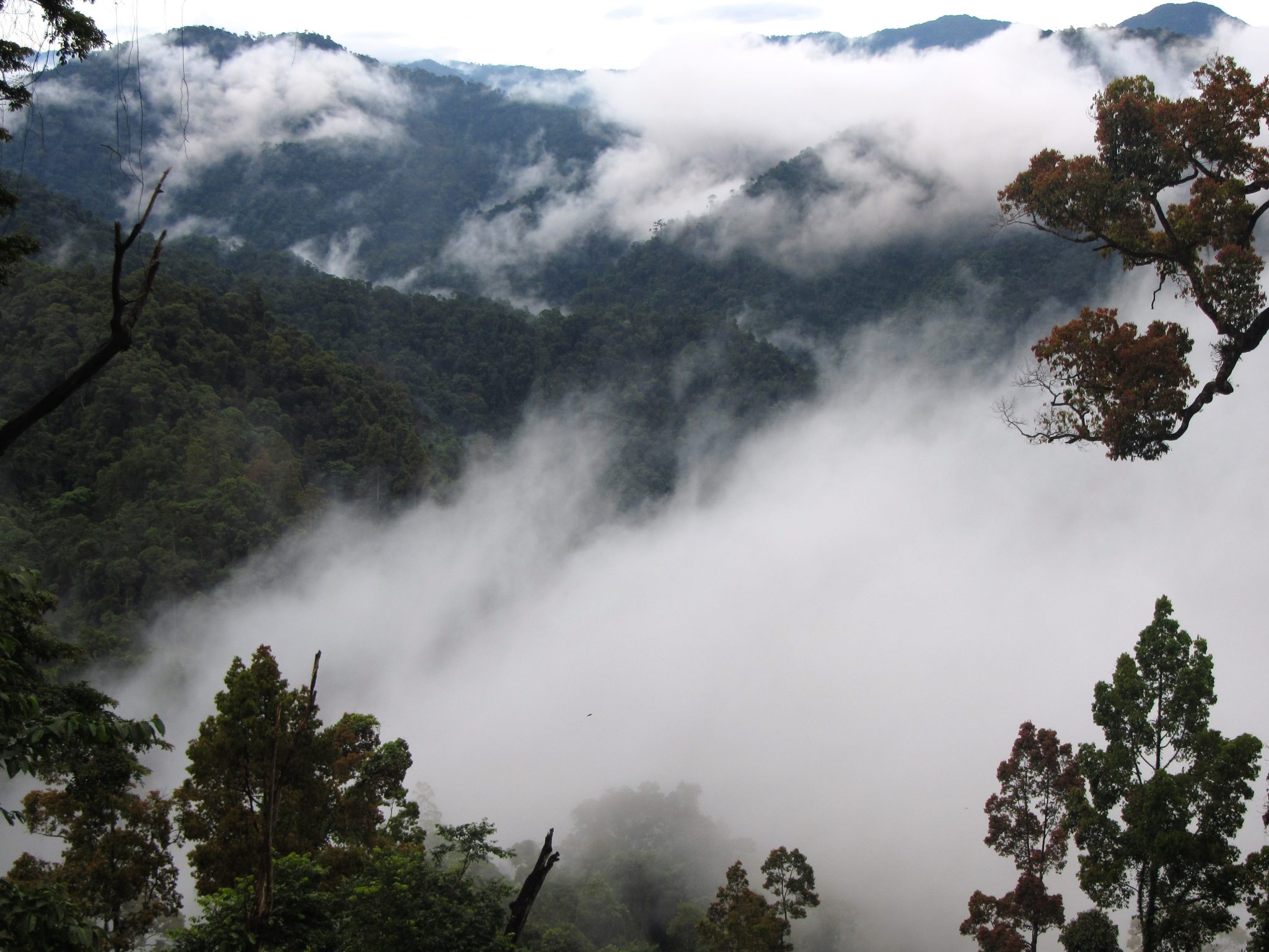 The Golden Loop | Motorbike Guide – Vietnam Coracle – Independent ...