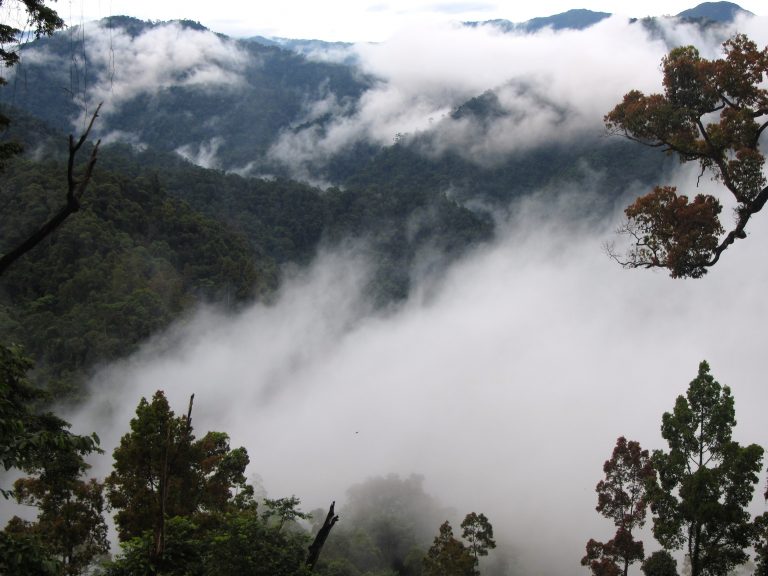 The Golden Loop | Motorbike Guide – Vietnam Coracle – Independent ...