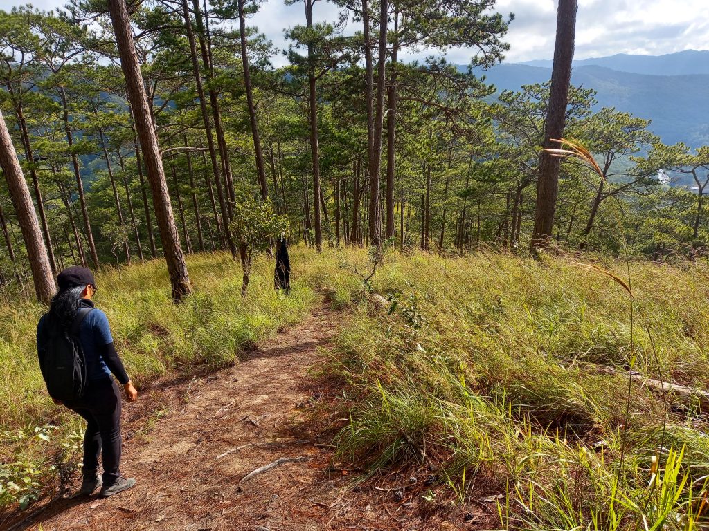 Camping, Hiking & Cloud-Hunting in Cau Dat – Vietnam Coracle ...