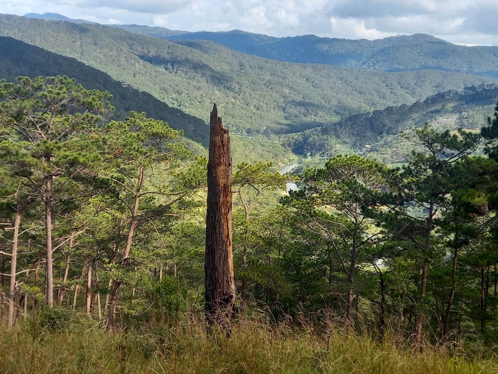 Camping, Hiking & Cloud-Hunting in Cau Dat – Vietnam Coracle ...