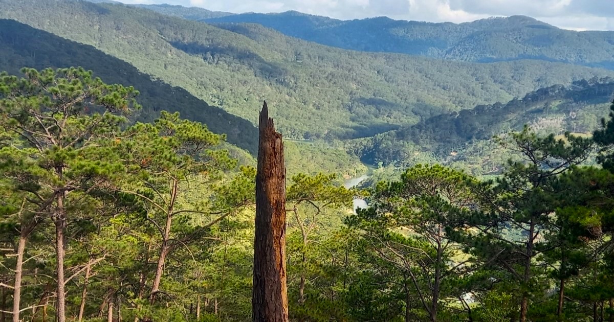 Camping, Hiking & Cloud-Hunting in Cau Dat – Vietnam Coracle ...