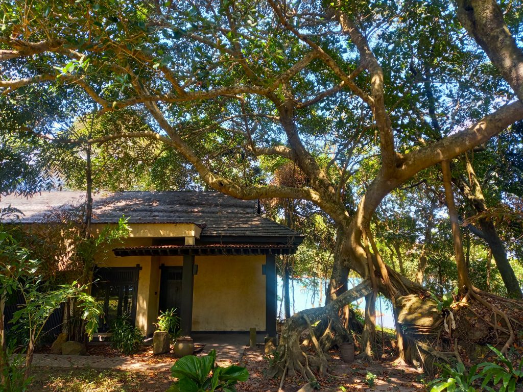 Nam Nghi Coral Peninsula | Phu Quoc – Vietnam Coracle – Independent ...