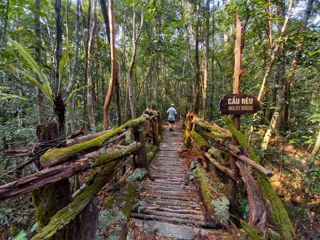 Into the Wild Hike & Camp | Phu Quoc Island – Vietnam Coracle ...