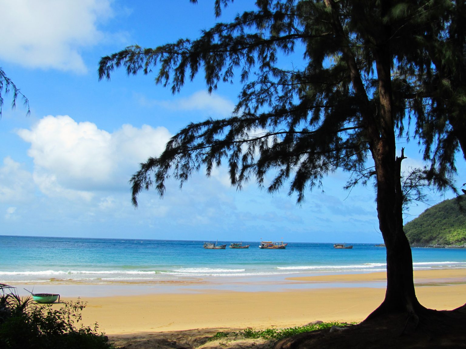 Con Dao Islands: Travel Guide – Vietnam Coracle – Independent Travel ...