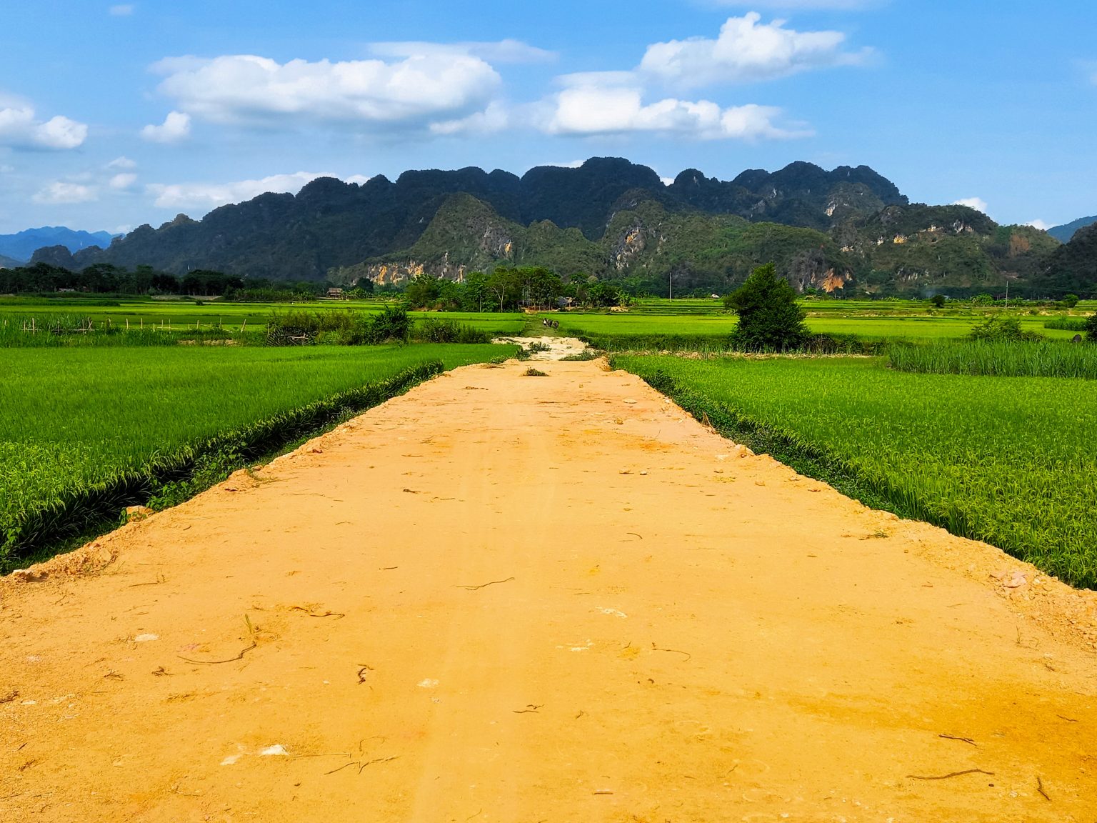 Hang Bua & Tham Om Caves – Vietnam Coracle – Independent Travel Guides ...