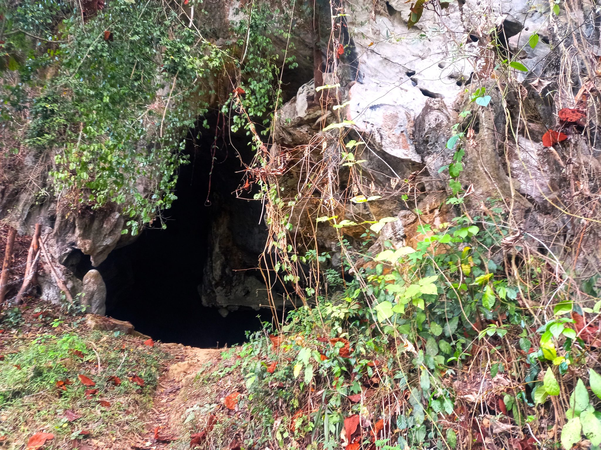 Hang Bua & Tham Om Caves – Vietnam Coracle – Independent Travel Guides ...