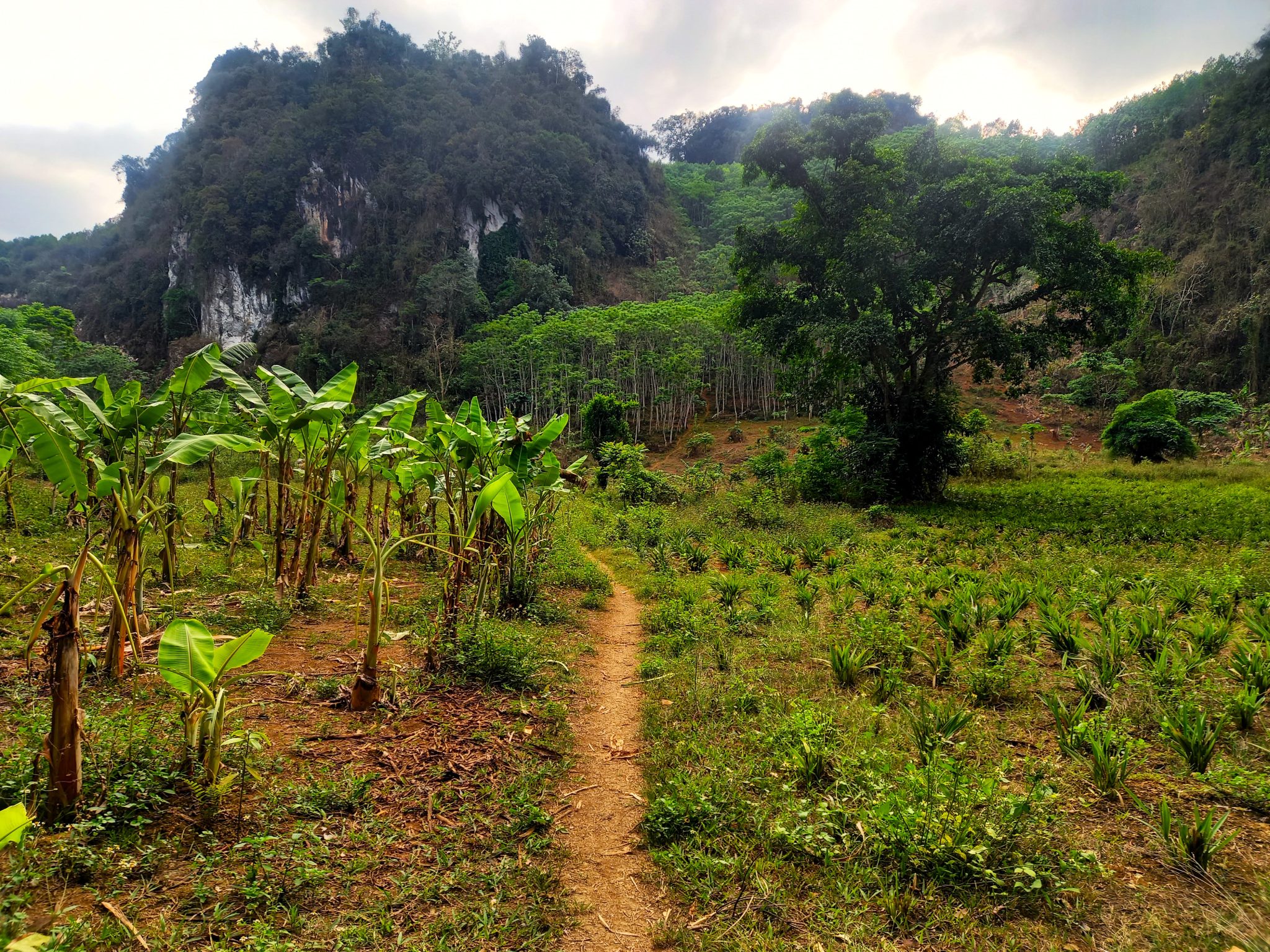 Hang Bua & Tham Om Caves – Vietnam Coracle – Independent Travel Guides ...