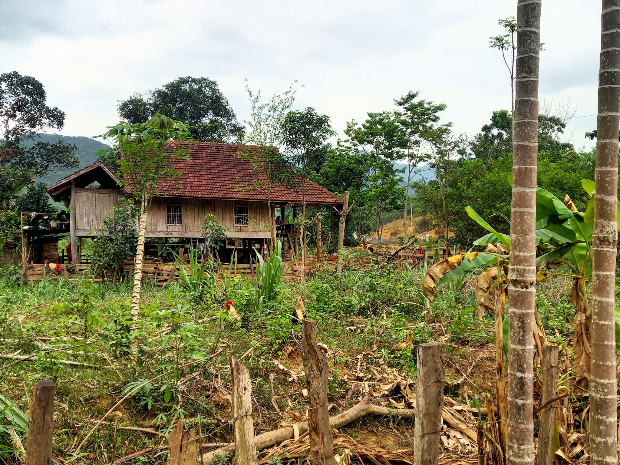 Hang Bua & Tham Om Caves – Vietnam Coracle – Independent Travel Guides ...