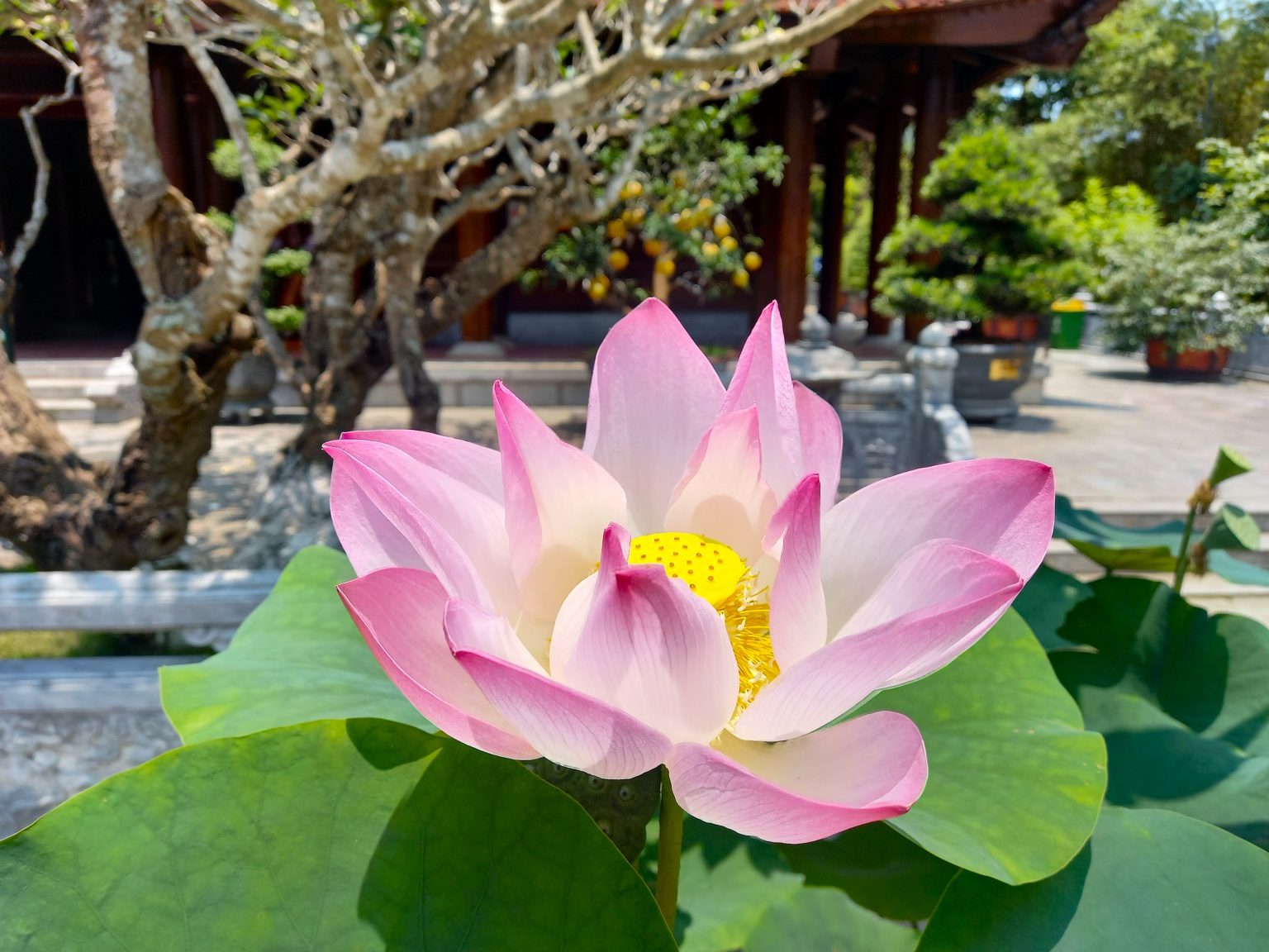 Kim Liên: Ho Chi Minh's Homeland – Vietnam Coracle – Independent Travel ...