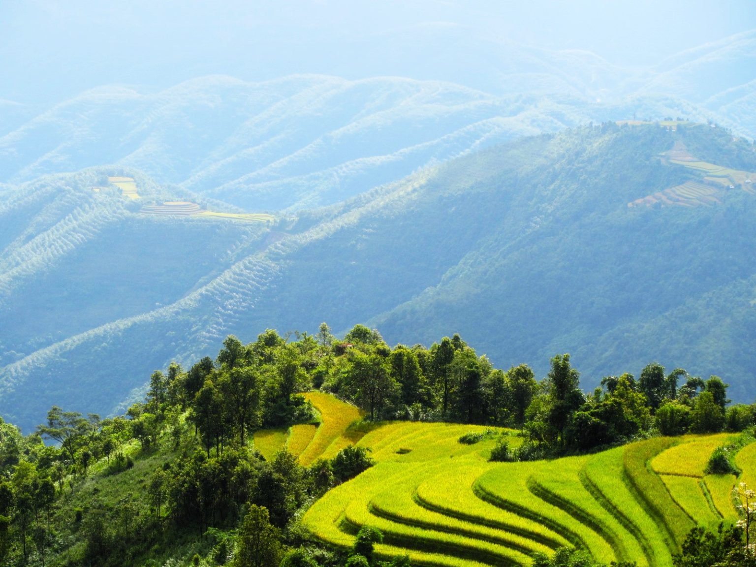 Rice Terraces of Northern Vietnam – Vietnam Coracle – Independent ...