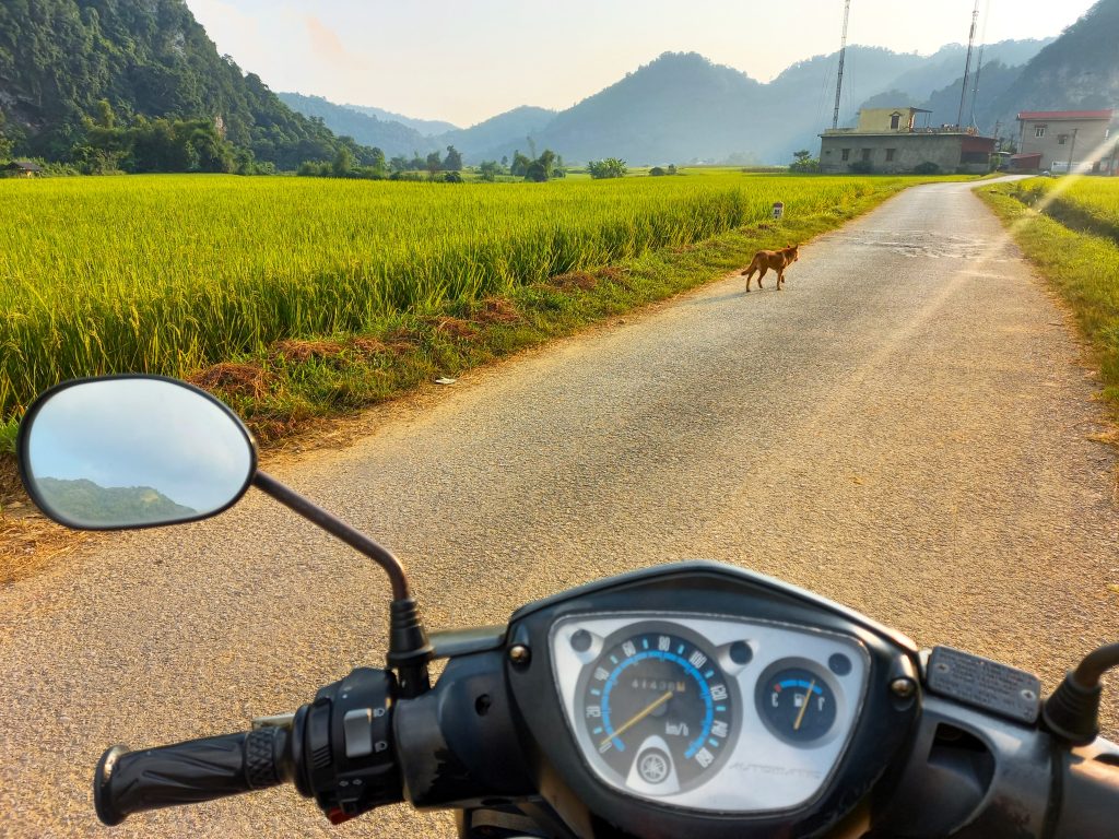 Trans-Northern Belt Road: QL279 – Vietnam Coracle – Independent Travel ...