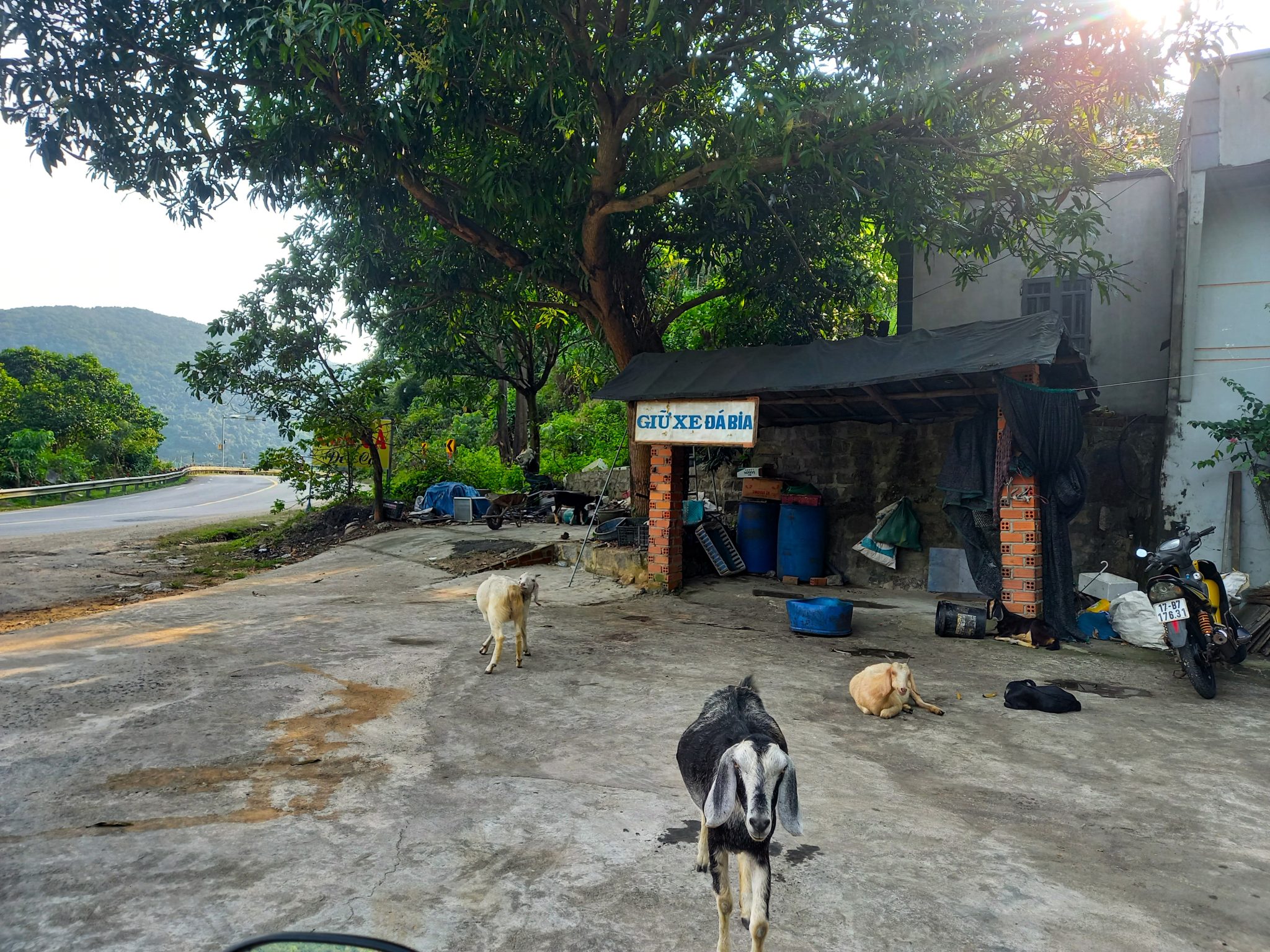 Núi Đá Bia | Mountain Hike – Vietnam Coracle – Independent Travel ...