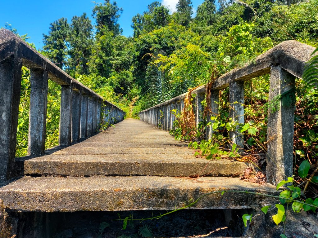 Núi Đá Bia | Mountain Hike – Vietnam Coracle – Independent Travel ...