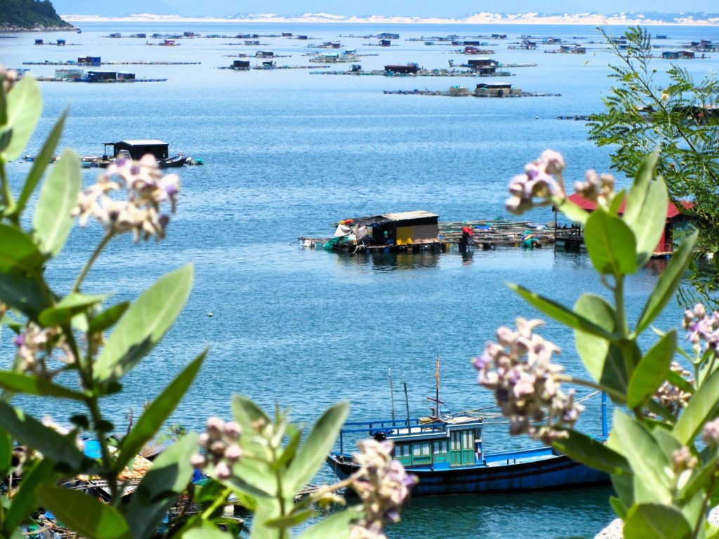 Vung Ro Bay & Bai Mon Beach – Vietnam Coracle – Independent Travel ...