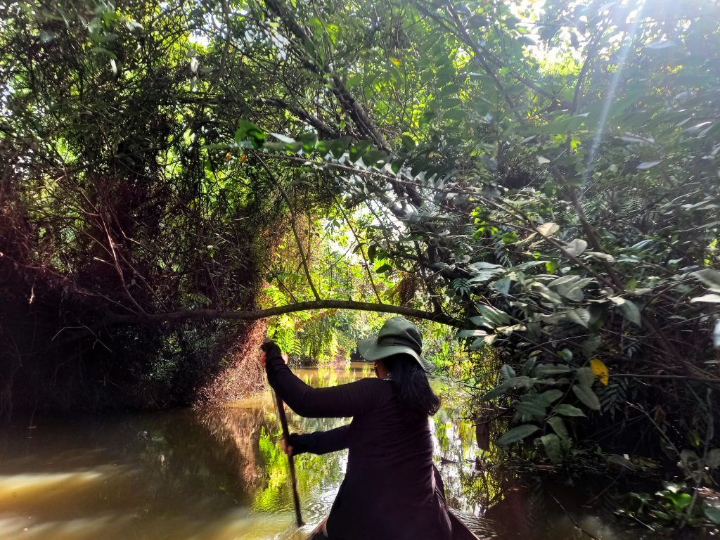 Xeo Quyt Forest – Vietnam Coracle – Independent Travel Guides to Vietnam