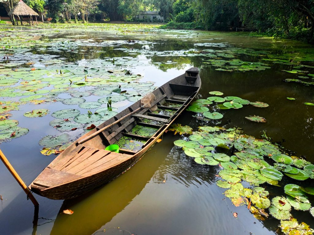 Xeo Quyt Forest – Vietnam Coracle – Independent Travel Guides to Vietnam
